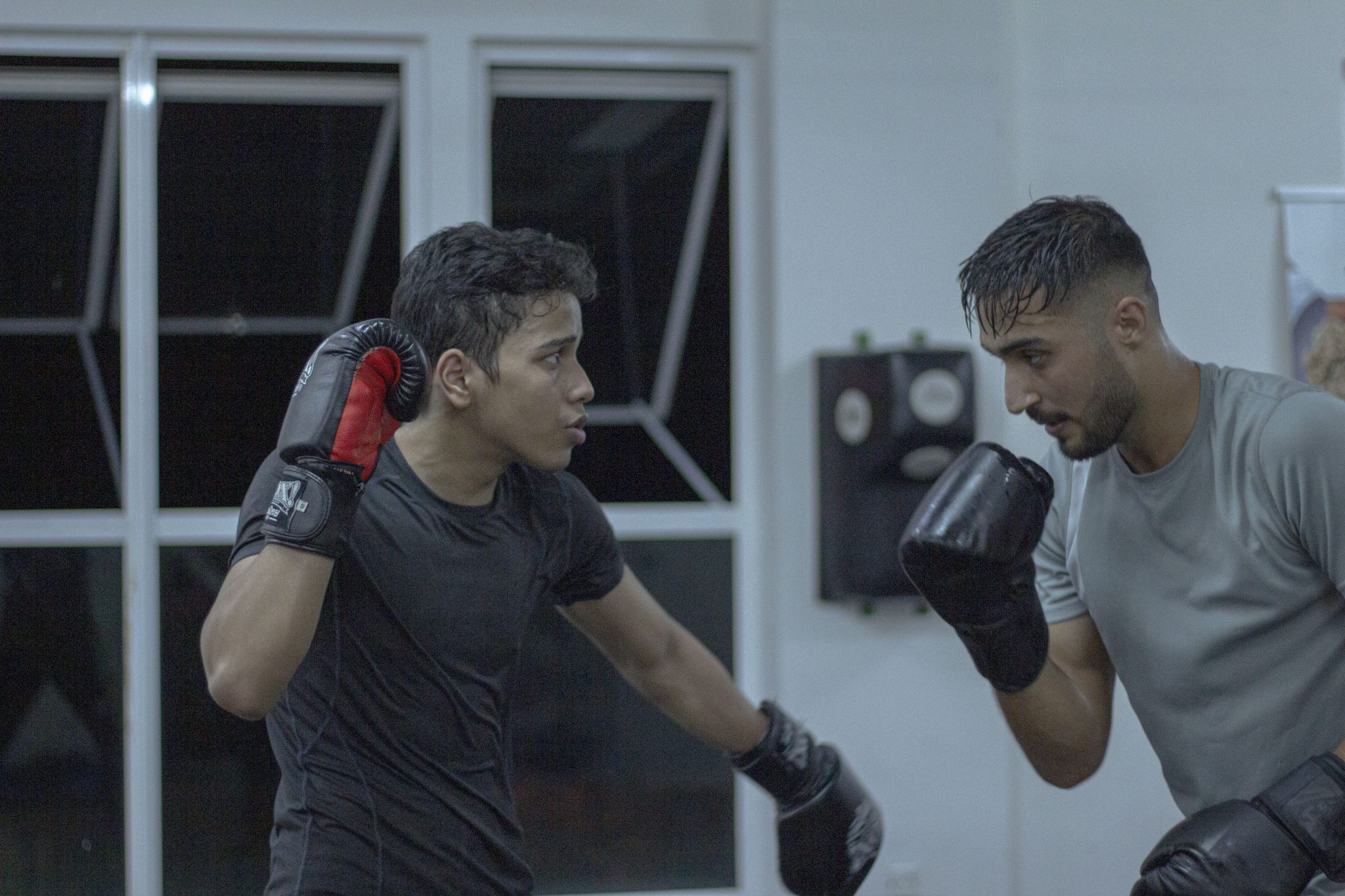 HammerFist – Martial Arts Gym